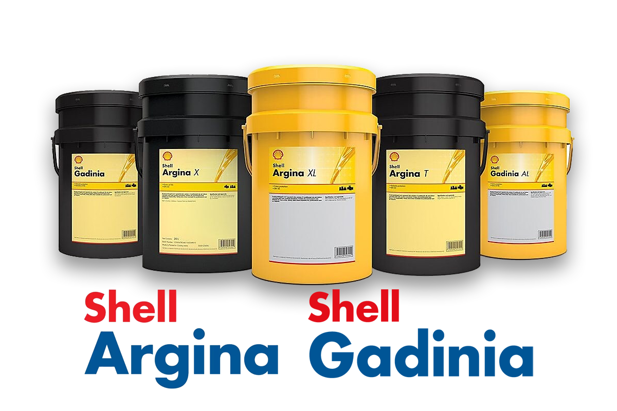 Gadinia